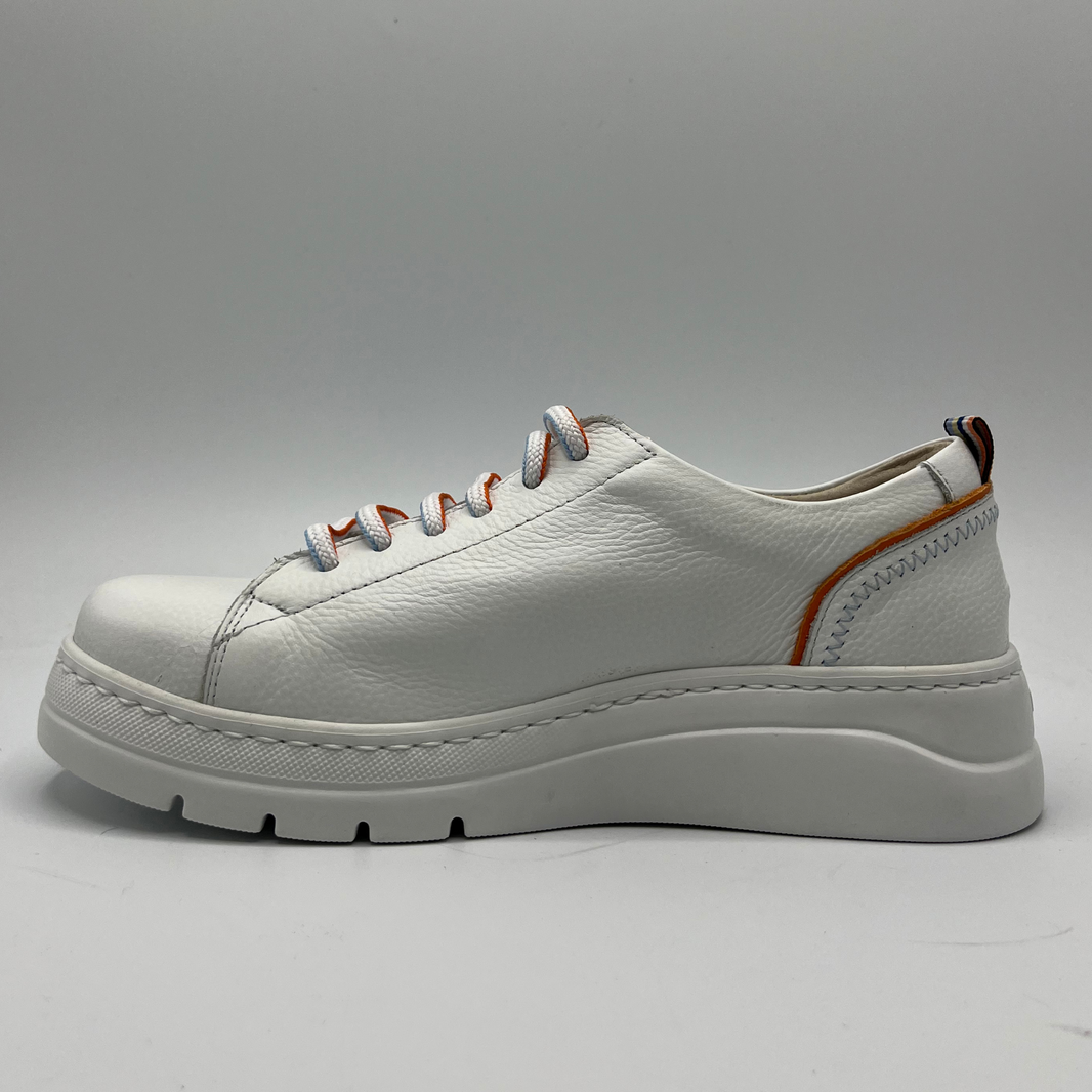 Waterlily Shoes | Fashion-forward footwear, bags & accessories